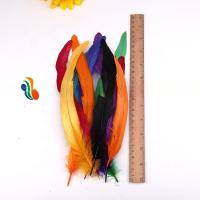China 8-10 Inch Dyed Rooster Long Tail Feathers For DIY Hair Accessories And Costumes for sale