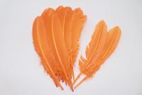 China Party Decoration Colored Turkey Feathers Event Supplies 10-12 inch for sale