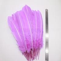 China Party Decoration Colored Turkey Feathers Event Supplies 10-12 inch for sale