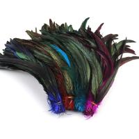 China Unique Pattern Dyed feathers millinery supplies Rooster Tail Feather 8-10 inch for sale