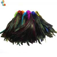 China Unique Pattern Dyed feathers millinery supplies Rooster Tail Feather 8-10 inch for sale
