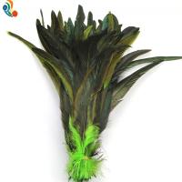 China Unique Pattern Dyed feathers millinery supplies Rooster Tail Feather 8-10 inch for sale