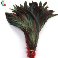 China Unique Pattern Dyed feathers millinery supplies Rooster Tail Feather 8-10 inch for sale