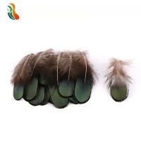 China 2-4 Cm Golden Pheasant Green Plumage Feathers Shipping DHL UPS FEDEX TNT Worldwide for sale