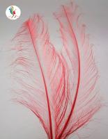 China FEDEX Shipping Feathers Millinery Supplies Burnt Ostrich Feathers 50-55cm Hat Decor for sale