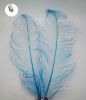 China FEDEX Shipping Feathers Millinery Supplies Burnt Ostrich Feathers 50-55cm Hat Decor for sale