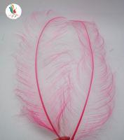China FEDEX Shipping Feathers Millinery Supplies Burnt Ostrich Feathers 50-55cm Hat Decor for sale