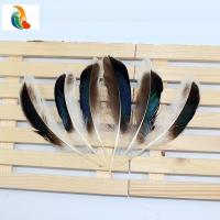 China DIY Decoration Show Millinery Feather Natural Rooster Coque Feathers 4-6 Inches for sale