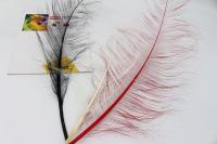 China FEDEX Shipping Feathers Millinery Supplies Burnt Ostrich Feathers 50-55cm Hat Decor for sale