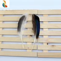 China DIY Decoration Show Millinery Feather Natural Rooster Coque Feathers 4-6 Inches for sale