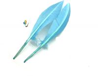 China 25-30cm Stripped Colored Turkey Feathers Quill Dyed For Decorative for sale