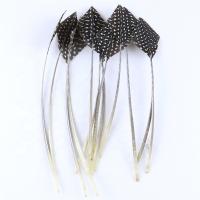 China Raw Pattern Millinery Feather Arrow Head Guinea Fowl Feather Quill Fast Shipping for sale