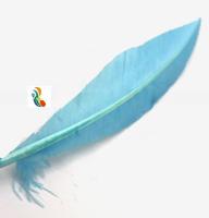 China 25-30cm Stripped Colored Turkey Feathers Quill Dyed For Decorative for sale