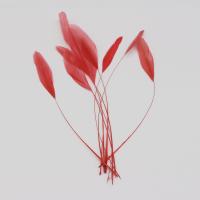 China 8-10 inch Chicken Feather Party Decoration Stripped Coque Create a Stunning Atmosphere for sale