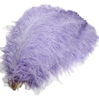 China Various  Color Millinery Feather Ostrich Plume Feathers 50-55cm For Hat Decoration for sale
