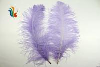China Various  Color Millinery Feather Ostrich Plume Feathers 50-55cm For Hat Decoration for sale