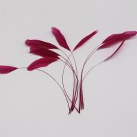 China 8-10 inch Chicken Feather Party Decoration Stripped Coque Create a Stunning Atmosphere for sale