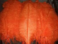 China Various  Color Millinery Feather Ostrich Plume Feathers 50-55cm For Hat Decoration for sale