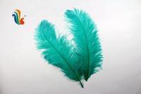 China 40-45cm Ostrich Feather Plumes For Event Party Supplies Decorations for sale