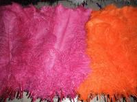 China Various  Color Millinery Feather Ostrich Plume Feathers 50-55cm For Hat Decoration for sale