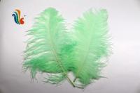 China 40-45cm Ostrich Feather Plumes For Event Party Supplies Decorations for sale