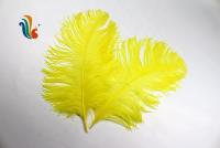 China 40-45cm Ostrich Feather Plumes For Event Party Supplies Decorations for sale