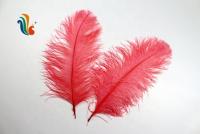 China 40-45cm Ostrich Feather Plumes For Event Party Supplies Decorations for sale
