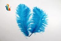 China 40-45cm Ostrich Feather Plumes For Event Party Supplies Decorations for sale