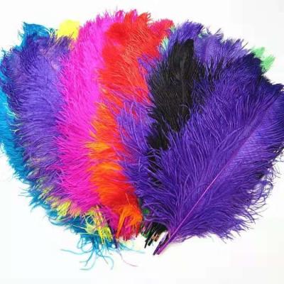 China Ostrich Feather for Millinery Supplies EMS Shipping Party and Carnival Decoration for sale
