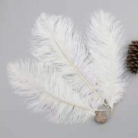 China Ostrich Feather for Millinery Supplies EMS Shipping Party and Carnival Decoration for sale