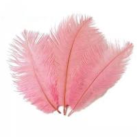 China Ostrich Feather for Millinery Supplies EMS Shipping Party and Carnival Decoration for sale