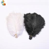 China Ostrich Feather for Millinery Supplies EMS Shipping Party and Carnival Decoration for sale