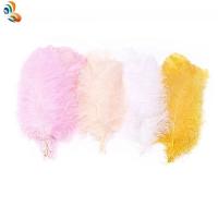 China Ostrich Feather for Millinery Supplies EMS Shipping Party and Carnival Decoration for sale
