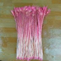 China Eye-catching Peacock Feather Sword 25-30 inch for Stunning Feather Decoration for sale