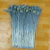 China Eye-catching Peacock Feather Sword 25-30 inch for Stunning Feather Decoration for sale
