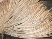 China Create Stunning Decorations with Our FEDEX Shipping Ostrich Feather Quill for sale