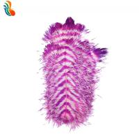 China Two Tones Colour Ostrich Feather Plumes 50-55cm Size for Decoration for sale
