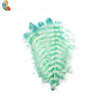 China Two Tones Colour Ostrich Feather Plumes 50-55cm Size for Decoration for sale