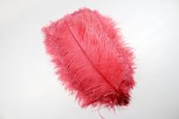 China Carnival Costumes Decoration Millinery Feather , Ostrich Plume Feathers Multi Colored for sale