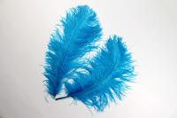 China Carnival Costumes Decoration Millinery Feather , Ostrich Plume Feathers Multi Colored for sale