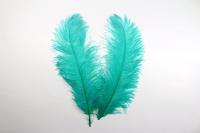 China Carnival Costumes Decoration Millinery Feather , Ostrich Plume Feathers Multi Colored for sale