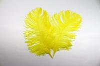China Carnival Costumes Decoration Millinery Feather , Ostrich Plume Feathers Multi Colored for sale