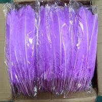 China Dyed Turkey Feather Quill For Party Decoration Millinery Supplies Exceptional Design for sale