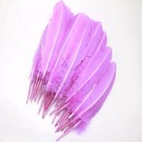China Dyed Turkey Feather Quill For Party Decoration Millinery Supplies Exceptional Design for sale