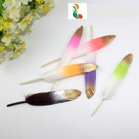 China 5-6inch Two Tones Millinery Feather , Colored Turkey Feathers For Fashionable Styles for sale