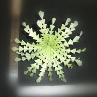 China 20*30 cm Striped Goose Flower Mount with Wire Accessory featuring Chicken Feather for sale
