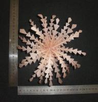 China 20*30 cm Striped Goose Flower Mount with Wire Accessory featuring Chicken Feather for sale