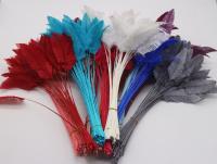 China 25-30cm Decor Millinery Feather , Head Arrow Stripped Ostrich Plume Feathers for sale