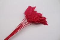 China 25-30cm Decor Millinery Feather , Head Arrow Stripped Ostrich Plume Feathers for sale