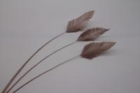 China 25-30cm Decor Millinery Feather , Head Arrow Stripped Ostrich Plume Feathers for sale